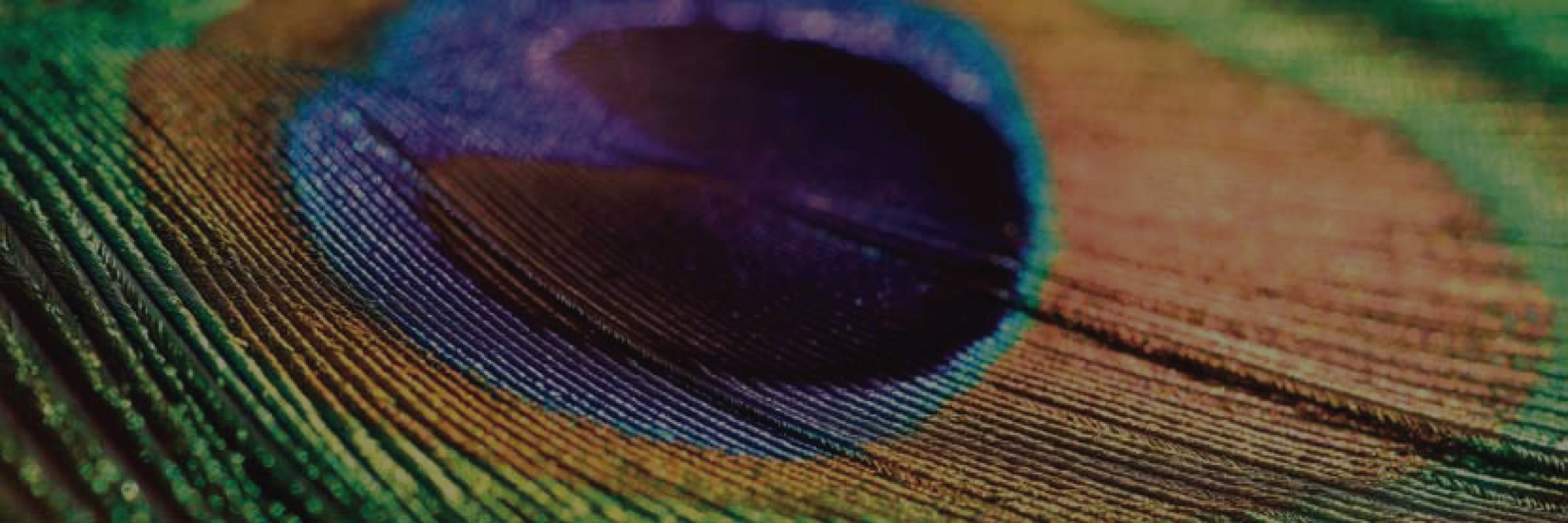 Sensum – Computer Vision Systems | Automatic visual inspection