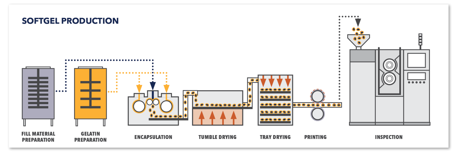 A LOOK INTO THE MOST COMMON SOFTGEL CAPSULE DEFECTS | Sensum - Computer ...